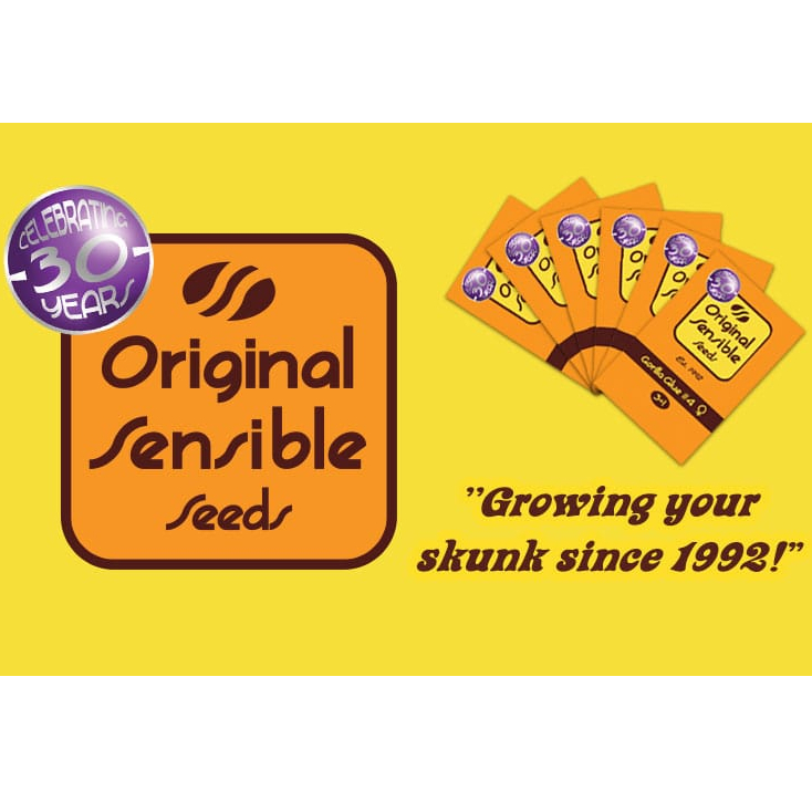 Original Sensible Seeds ค่ายคลาสิกพี่ใหญ่ 90s' | Shopee Thailand