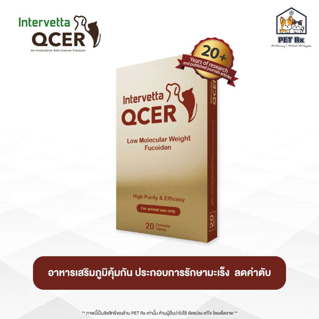 QCER [แท้💯] อาหารเสริมต่อต้านมะเร็ง (คิวเซอร์) เสริมภูมิคุ้มกันและปรับสมดุลร่างกาย (1 กล่องบรรจุ ...