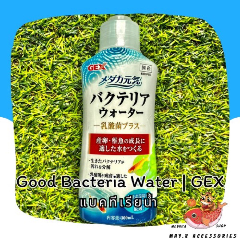 แบคทีเรียน้ำ GEX | แบ่ง 30 ml. | Shopee Thailand
