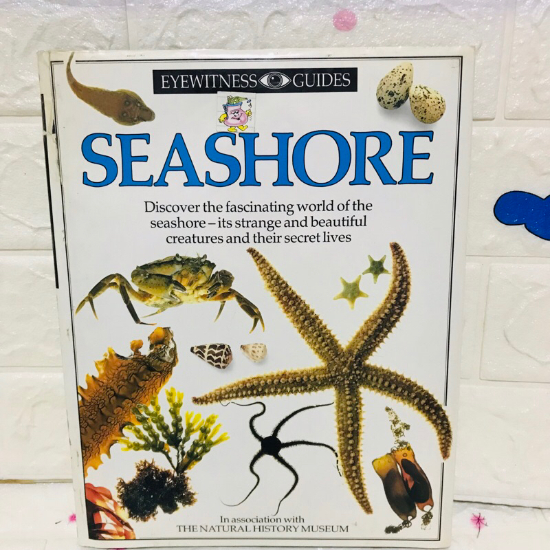 DORLING KINDERSLEY EYEWITNESS GUIDES KNIGHT ปกแข็งเล่มใหญ่-af1 | Shopee ...