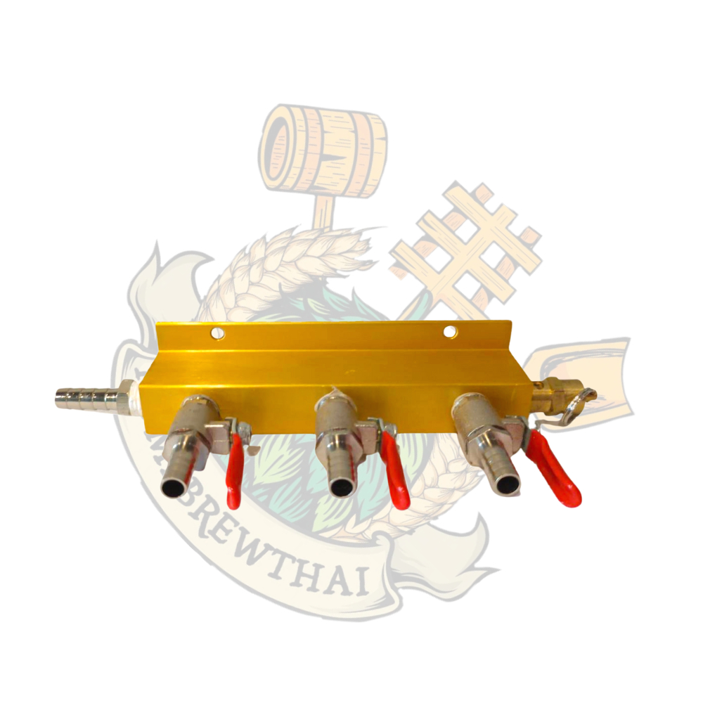 Compressed Gas Manifold อุปกรณ์สำหรับกระจายก๊าซ แบบต่างๆ | Shopee Thailand