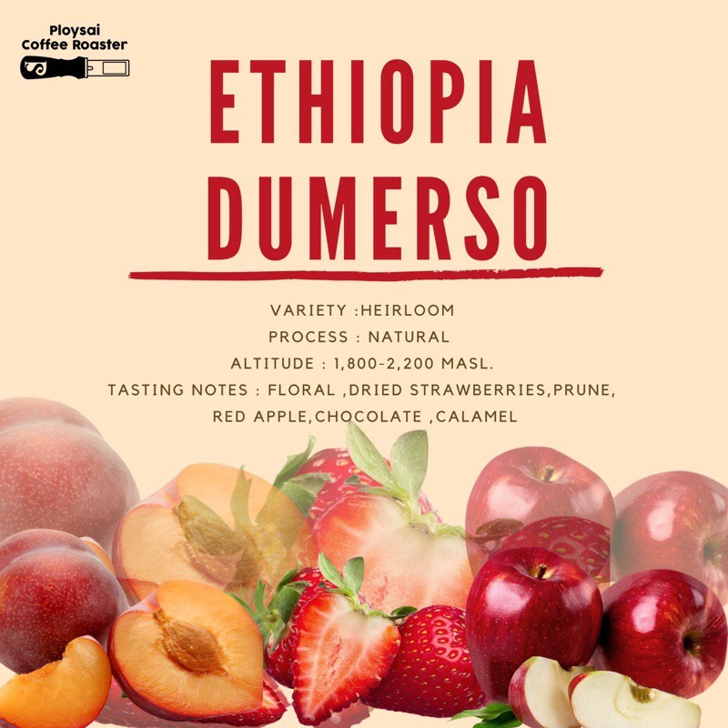 เมล็ดกาแฟ Ethiopia Dumerso Natural | Shopee Thailand