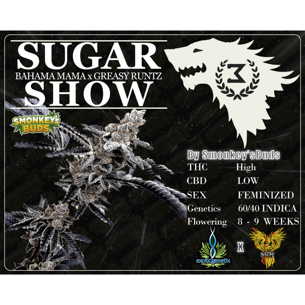 Solfiregarden X exotic Genetix เมล็ดพันธุ์กัญชานอก | Shopee Thailand