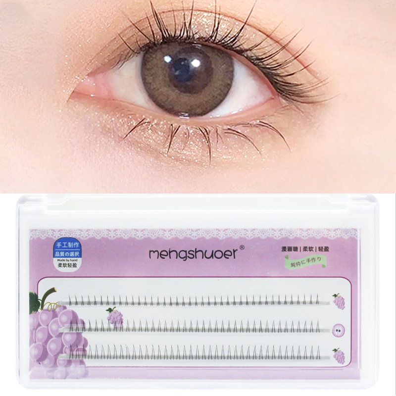 ISABELLA พร้อมส่ง ขนตาปลอมแบบเซท แบบช่อขนตา นิ่ม ขนตาธรรมชาติ ขนตาปลอม ...