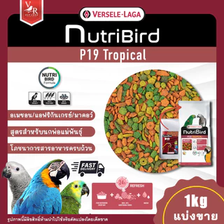p19 ราคาพิเศษ | ซื้อออนไลน์ที่ Shopee ส่งฟรี*ทั่วไทย!
