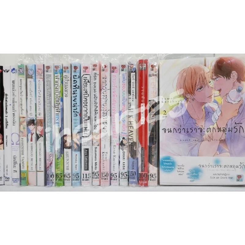 [มือสอง] BL การ์ตูนวาย มังงะวาย มือ2 สภาพดี (Zenshu／First Love／BLY／Bongkoch／บงกช／หนังสือมือสอง ...