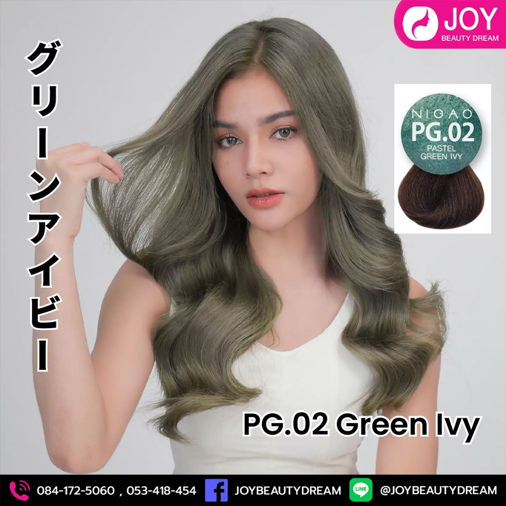 สีย้อมผมนิกาโอะ (NIGAO) ฟรีไฮโดเจน(3%-12%) | Shopee Thailand