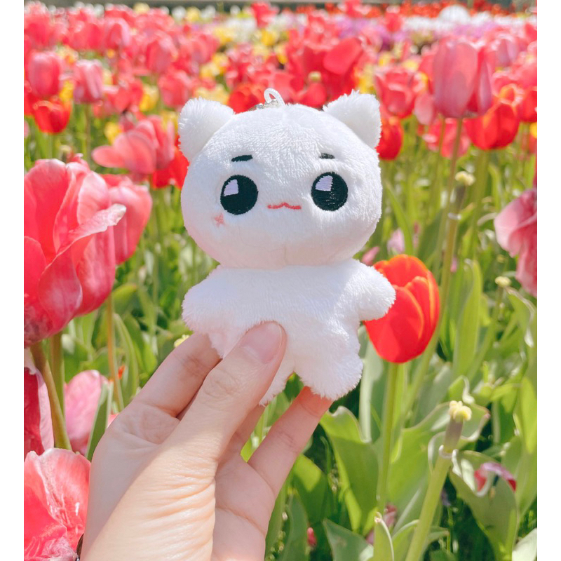 🐶 พร้อมส่งทุกวันมีปลายทาง ตุ๊กตาแท้ ทยงย่า ทยงยา แทยง หูพับ ของใหม่ 툥야 ...