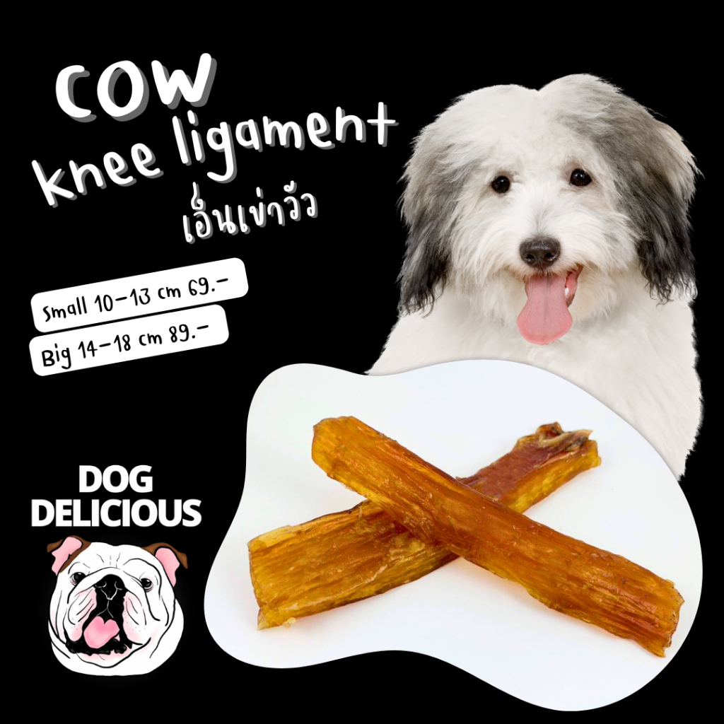 ขนมแทะเล่นสำหรับสุนัท เอ็นเข่าวัวส่วนที่หายากที่สุด cow knee ligament ...