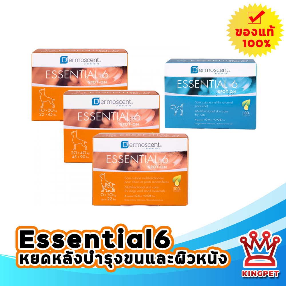 Dermoscent essential 6 วิตามินหยอดหลังบำรุงขนสัตว์เลี้ยง | Shopee Thailand