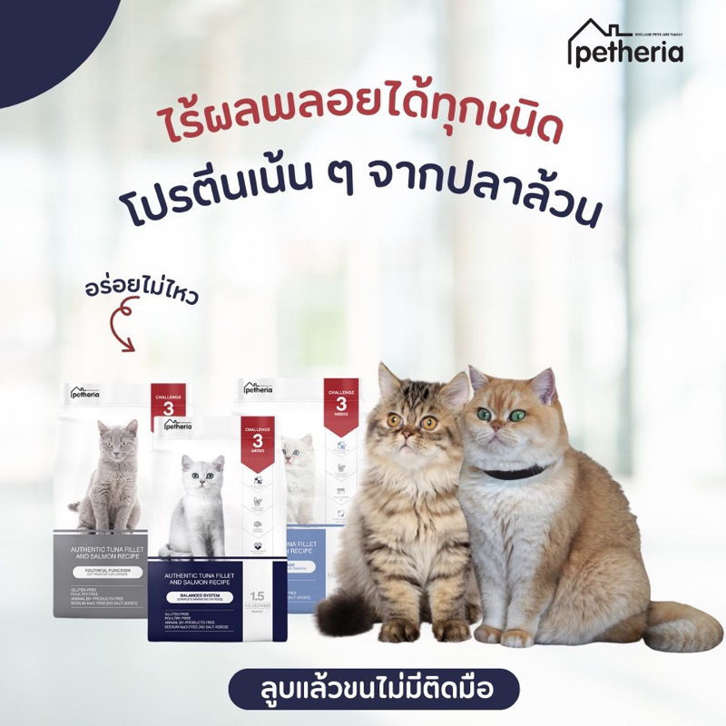 Petheria อาหารแมว เพ็ทเทอเรีย 1.5 Kg ครบทุกสูตร สำหรับแมวทุกช่วงวัย ...