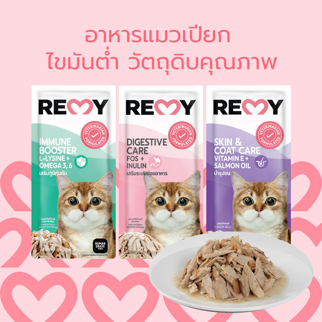 REMY CATอาหารเปียกแมวเรมี่่ ขนาด70กรัม 48ซอง | Shopee Thailand