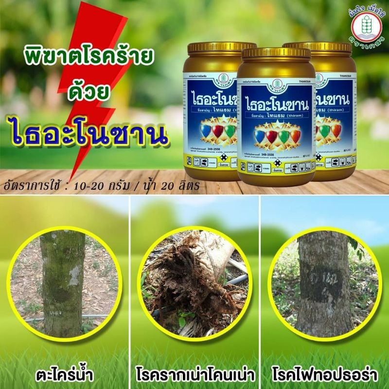 ไธอะโนซาน ไทแรม (thiram) 80% สารกำจัดเชื้อรา สามารถใช้ได้กับพืชทุกชนิด ...
