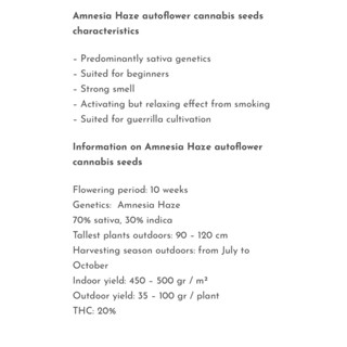 เมล็ดกัญชา Seeds Genetics.Co - Amnesia Haze (Auto) | Shopee Thailand