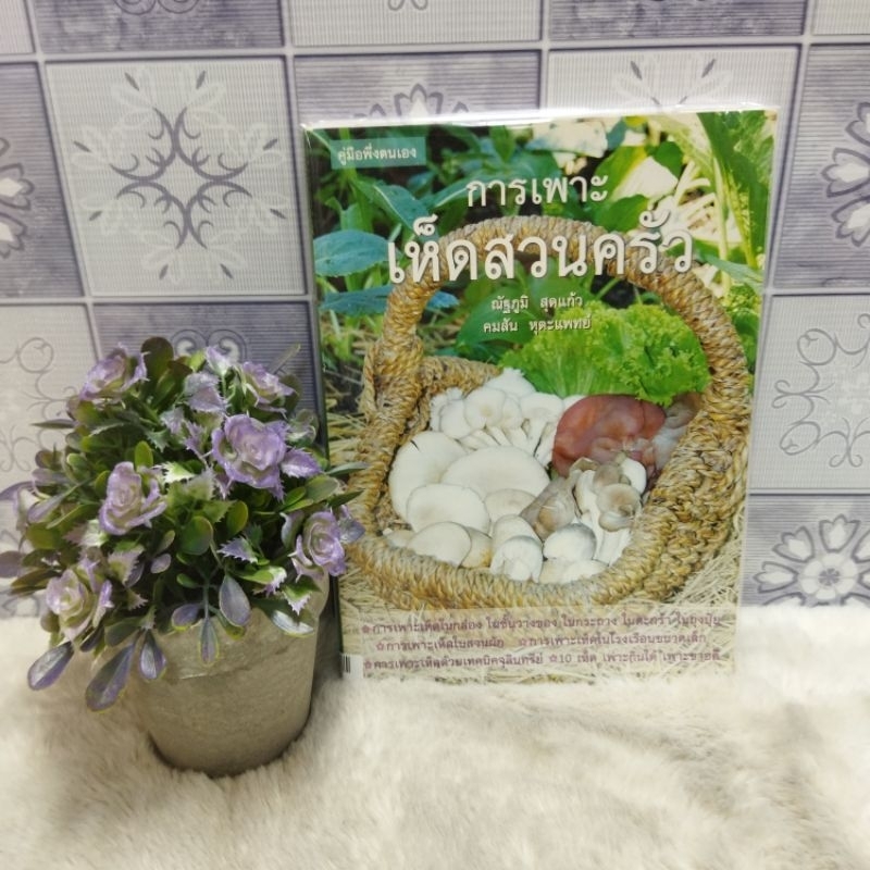 ชมพู่p1166 การเพาะเห็ดp1167 ผักไฮโดรโปนิกส์p1168 ผักปลอดสารp1169 ปุ๋ย ...