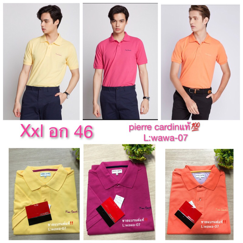 เสื้อโปโลผู้ชาย ปิแอร์การ์แดง Pierre Cardin size xxl อก 46 เสื้อคอปก ...