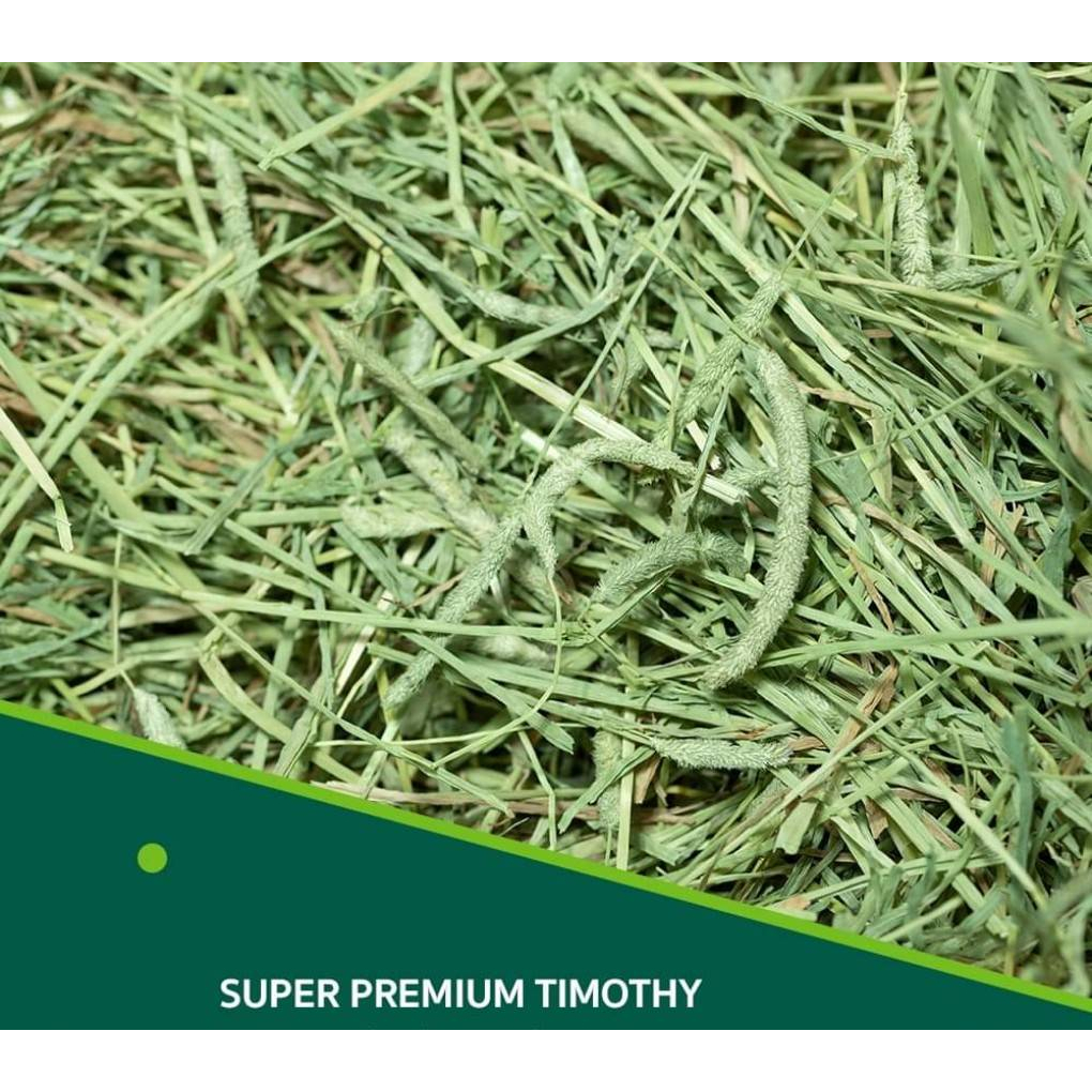 หญ้าทิโมธี หญ้าทิโมธีซุปเปอร์พรีเมียม super premium timothy wildloft ...