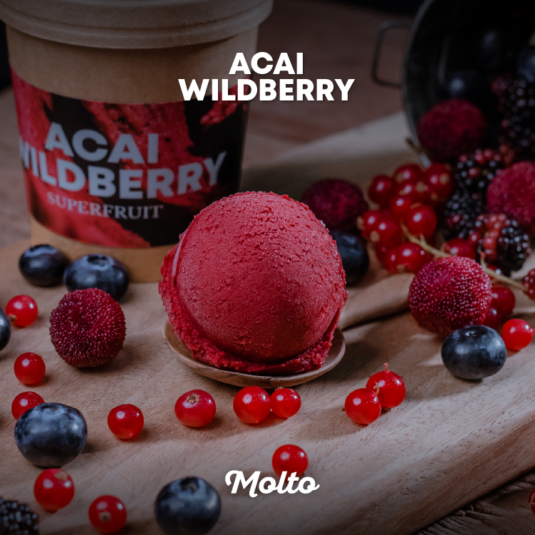 Acai wildberry (ไอศกรีมซอร์เบท์อาซาอิผสมเบอร์รี 1 ถ้วย 16 oz.) - Molto ...