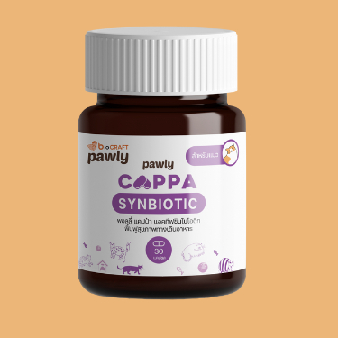Pawly Cappa สำหรับแมว แอคทีฟซินไบโอติก ฟื้นฟูระบบทางเดินอาหาร | Shopee Thailand