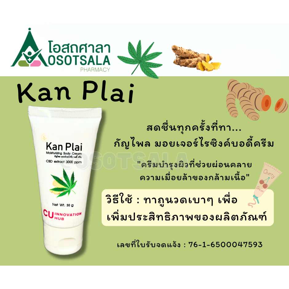 กัญไพล มอยส์เจอไรซิ่งบอดีครีม เภสัช จุฬาฯ Kan Plai moisturizing body ...