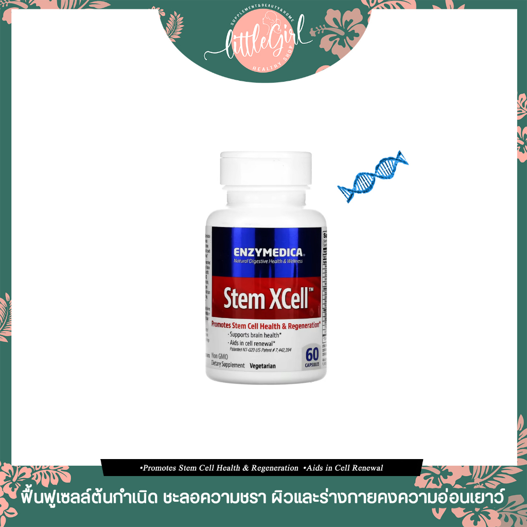 (พร้อมส่ง) สเตมเซลล์ Enzymedica Stem XCell 60 Capsules | Shopee Thailand