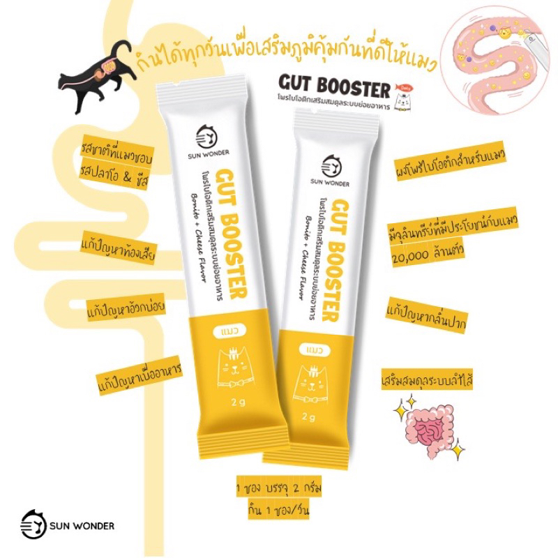 Sun Wonder Daily Gut Booster โพรไบโอติกเสริมสมดุลระบบย่อยอาหาร สำหรับ ...