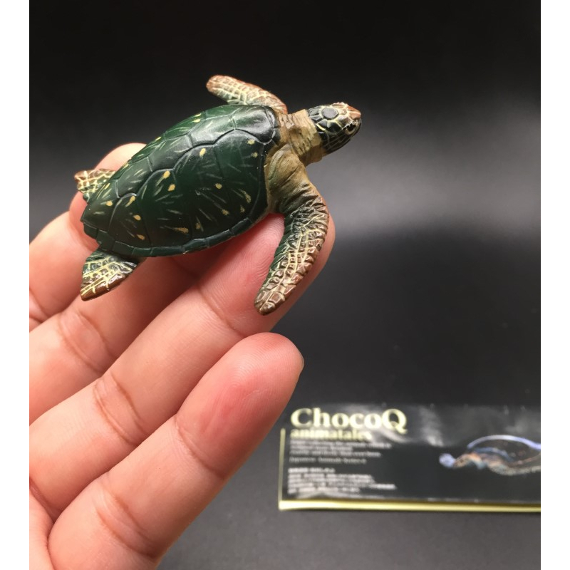 ฟิกเกอร์ สัตว์จิ๋ว เต่าทะเล เต่าตนุ Kaiyodo Animatales Choco Q Series 6 Green sea turtle Figure ...