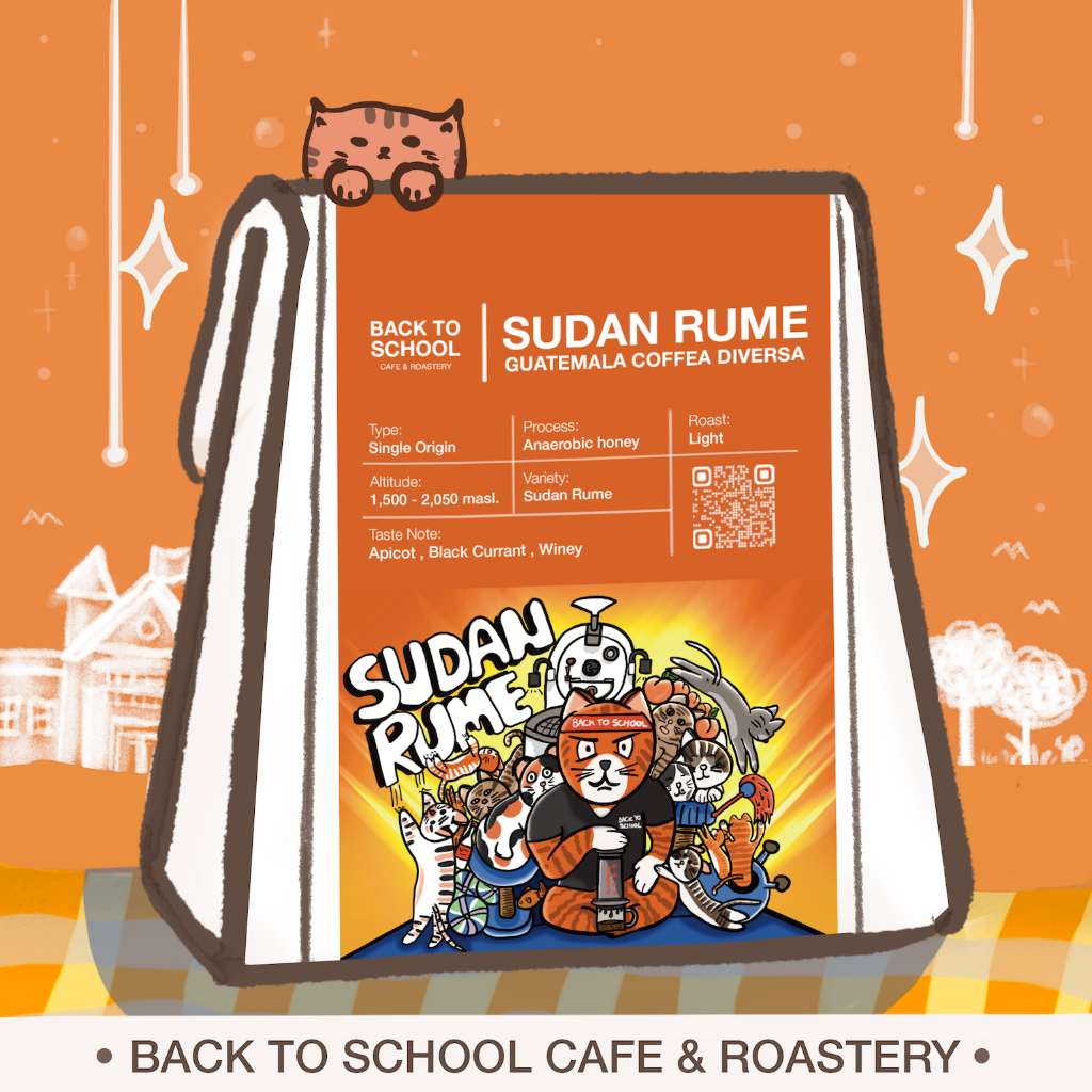 เมล็ดกาแฟคั่ว Guatemala Coffea Diversa Sudan Rume (Anaerobic Honey ...