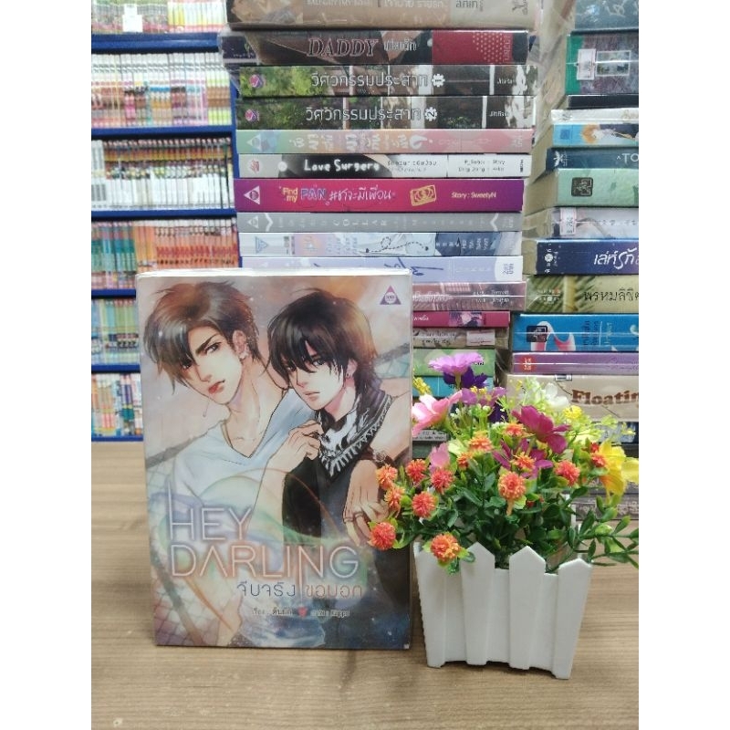 หนังสือนิยาย เรื่องHey Darling จีบจริงขอบอก สภาพดี | Shopee Thailand
