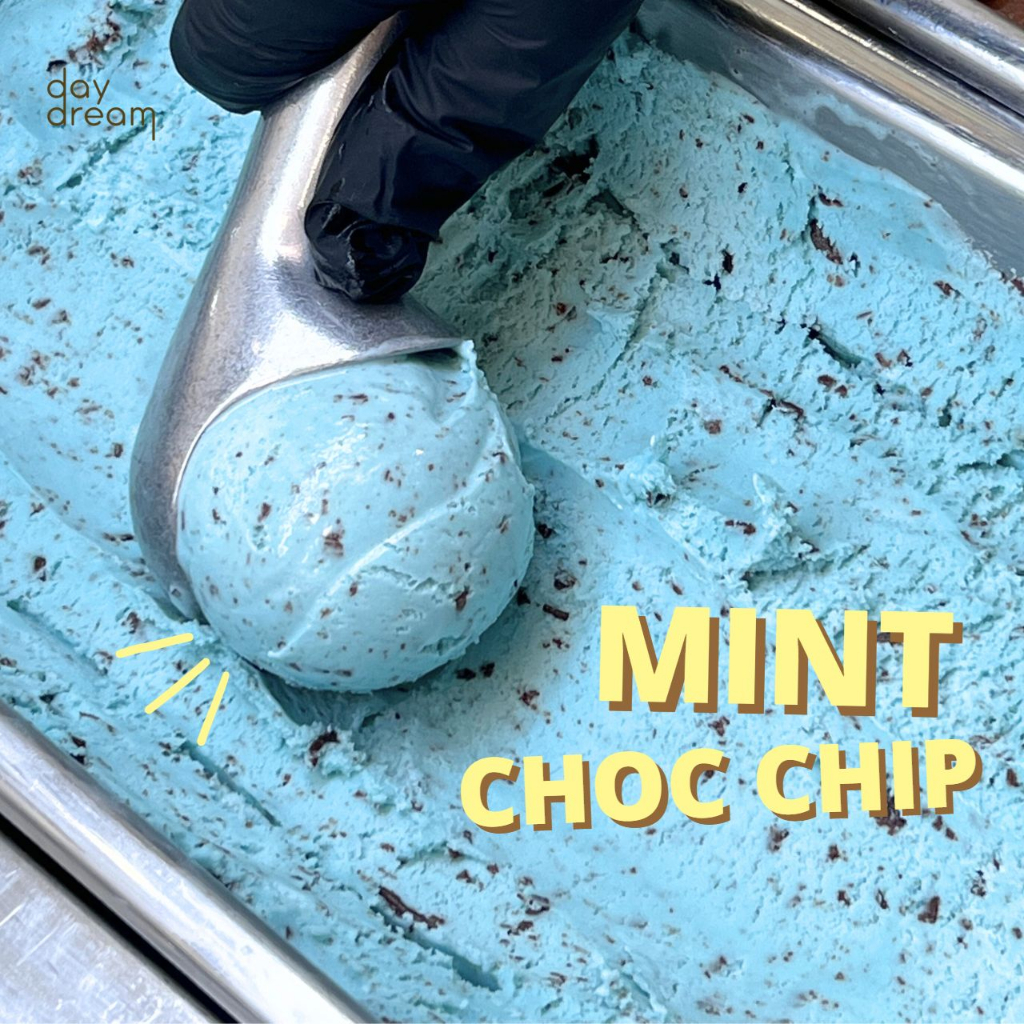 mint choc chip - มิ้นท์ช็อคชิพ (ไอศครีมขนาด 400 g.) daydream | Shopee ...