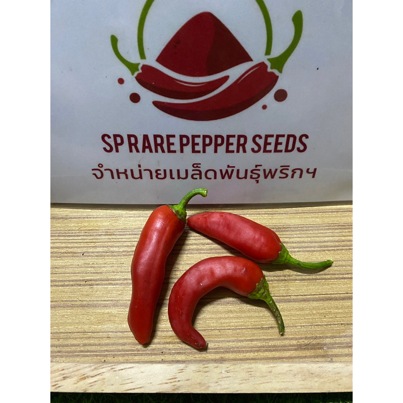 พริกCHERVENA CHUSHKA | Shopee Thailand