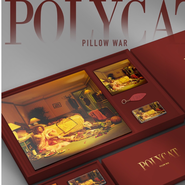 แผ่นเสียง LP + CD + เทป + พวกกุญแจ Boxset POLYCAT อัลบั้ม PILLOW WAR + ลายเซ็น แผ่นใหม่ ซีล ...