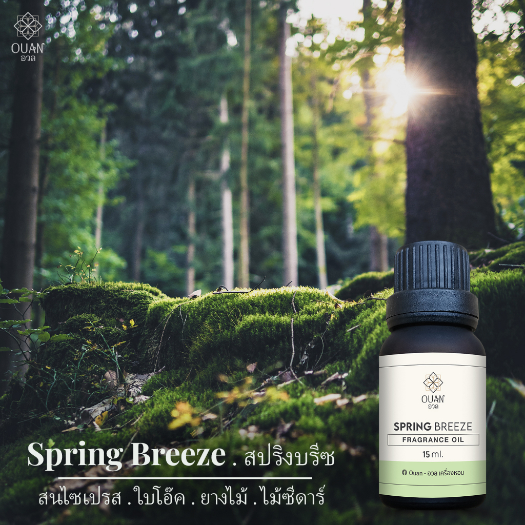 Fragrance Oil กลิ่น Spring Breeze หอม สะอาด อบอุ่น | อวล | น้ำมันหอมแบบ ...