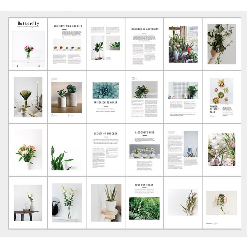 นิตยาสารภาพ[3] มินิมอล Minimal Styleภาพสี พร็อบ ฉากหลัง กระดาษมัน คำ ...