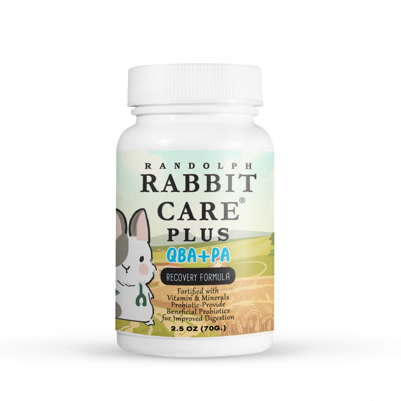 Randolph แรนดอล์ฟ Rabbit Care สูตร 3 QBA+PA PLUS อาหารกระต่ายป่วย หรือ ...