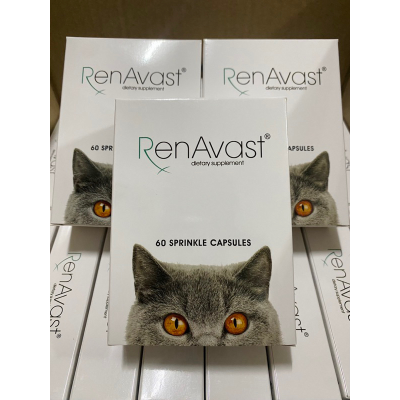 Renavast Cat EXP 09/2025 ผลิตภัณฑ์เสริมอาหารสำหรับแมวที่มีปัญหาโรคไต ...