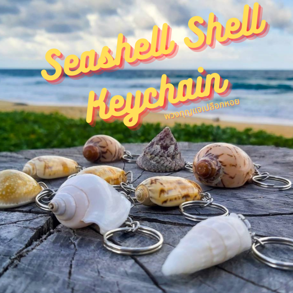 Andaman seashell พวงกุญแจเปลือกหอยคละชนิด 10 ชิ้น | Shopee Thailand