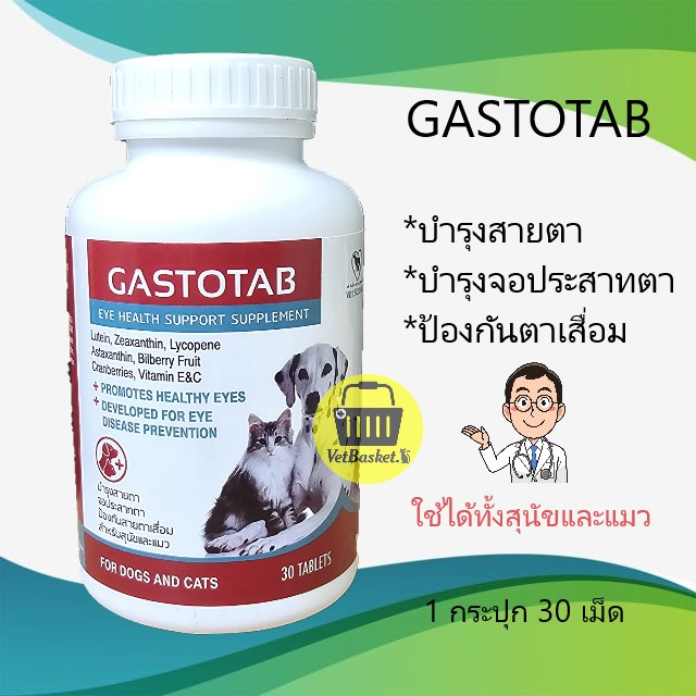 GASTOTAB อาหารเสริมบำรุงสายตาสุนัขและแมว บำรุงจอประสาทตา ป้องกันตา ...
