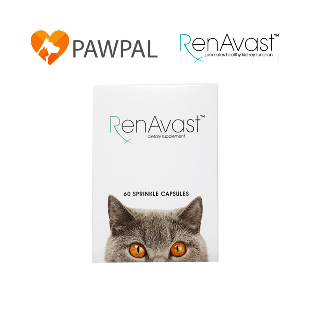RenAvast เรนอะวาสท์ dog cat 🔥ล็อตใหม่ อาหารเสริมโปรตีน บำรุงไต สุนัข ...