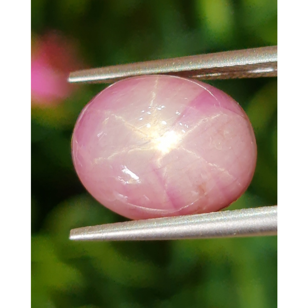 พลอย ทับทิม สตาร์ แซฟไฟร์ Ruby Star Sapphire 10.76 กะรัต (Cts.) พลอยแท้ ...