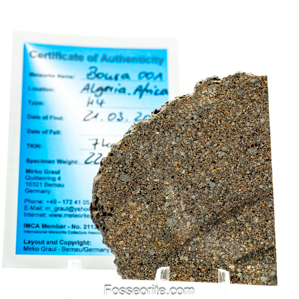 อุกกาบาต หิน BOURA 001 Meteorite แบบสไลซ์ใหญ่ พร้อมใบรับรอง จาก Germany ...
