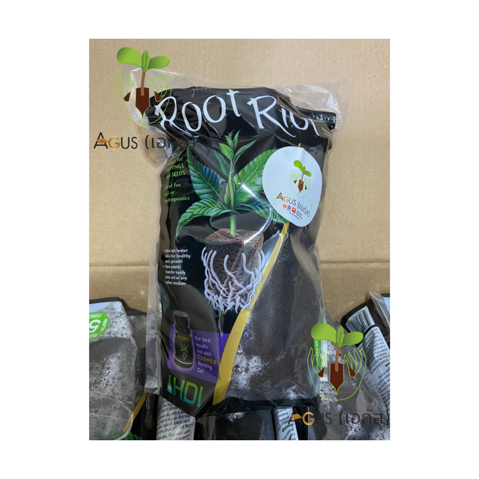 Root Riot original package ถุง ขนาด 50 ชิ้น (50 cubes) ปักชำ เพาะ เมล็ด ...