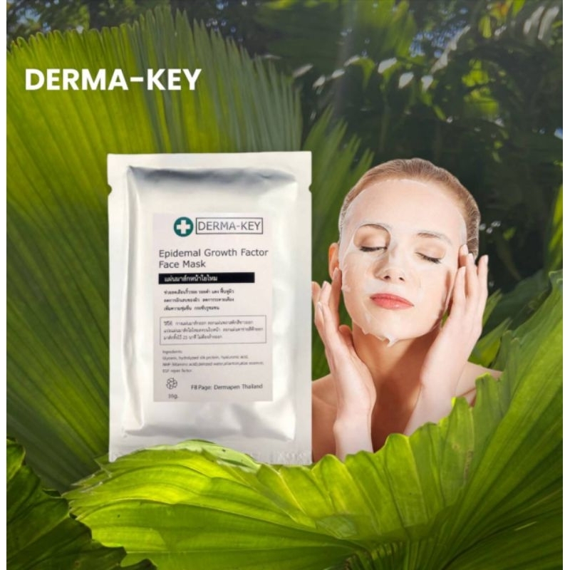 DERMA-KEY EGF Face mask แผ่นมาส์กหน้าใยไหม มาส์กลดรอยแดง | Shopee Thailand