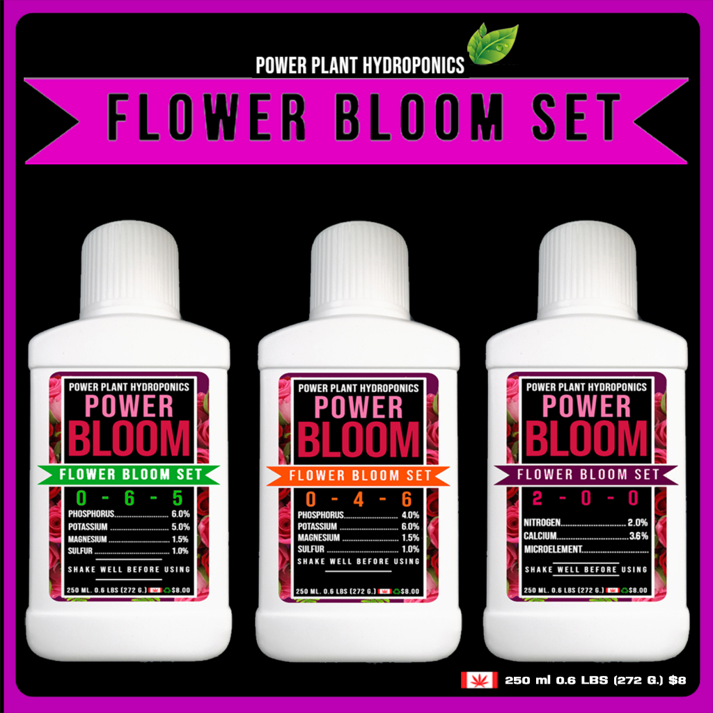 ปุ๋ยทำดอก ปุ๋ยเร่งดอก Flower Bloom Set ของ Power Plant Hydroponics ขนาด 250 ml | Shopee Thailand