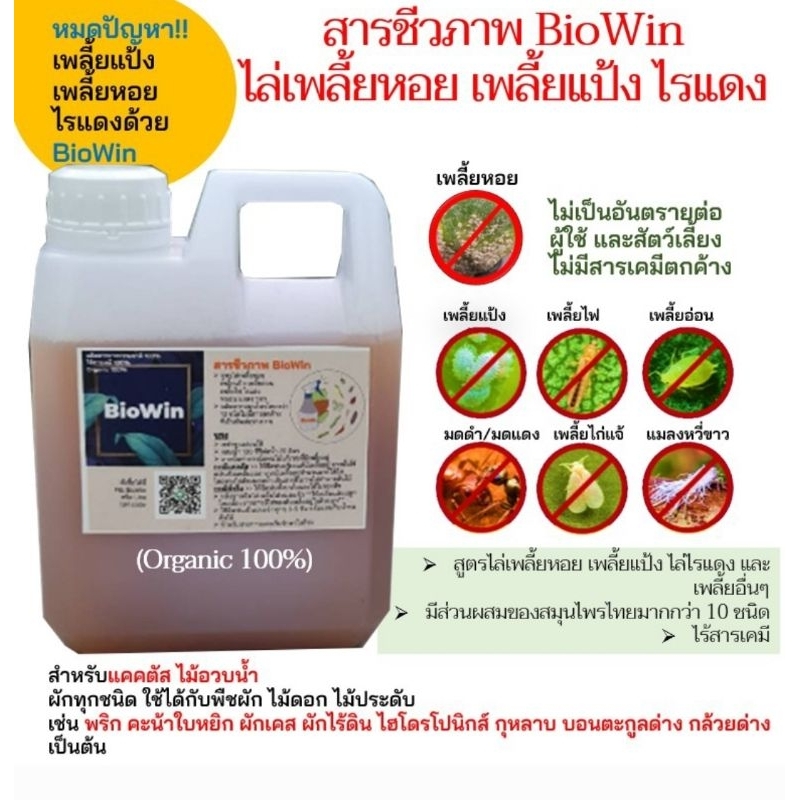 💯‼️สารชีวภาพ BioWin ไล่เพลี้ยแป้ง เพลี้ยหอย เพลี้ยไฟ ไรแดง ไล่หนอน ไล่ ...
