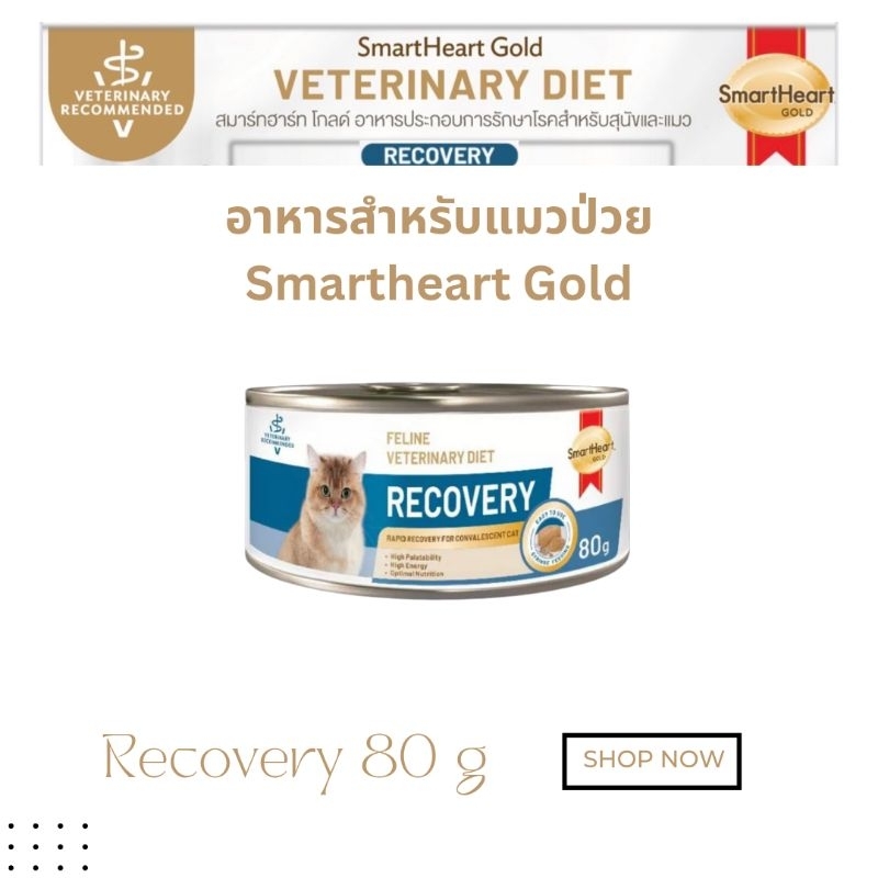 Smartheart Gold Recovery อาหารเปียกแมวป่วย พักฟื้น หลังผ่าตัด | Shopee ...