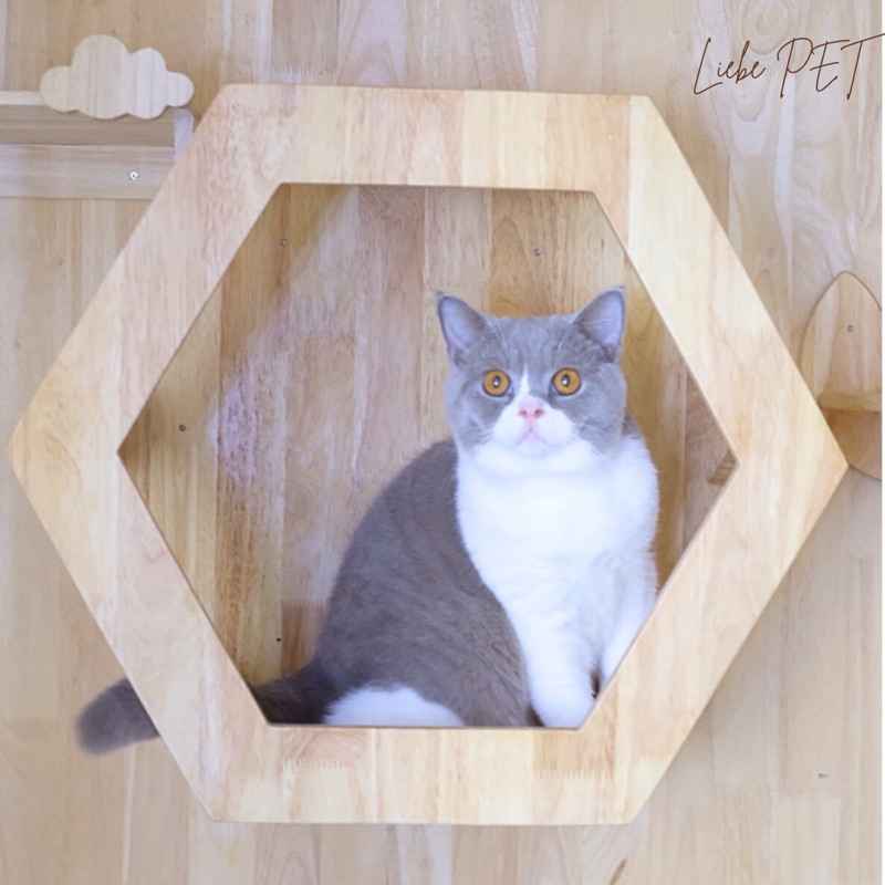 LP134 ชั้นปีนแมว ยึดกรง ติดกรง คอนโดแมว ที่นอนแมว บ้านไม้แมว ของเล่นแมว ...