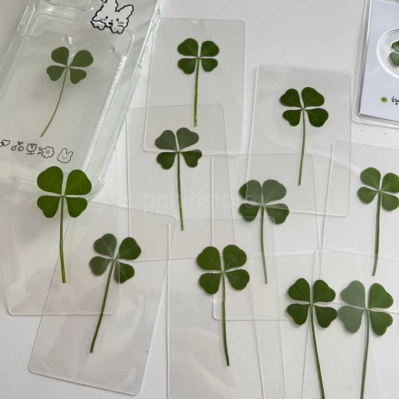 🍀[พร้อมส่ง]ใบโคลเวอร์เคลือบการ์ด clover card | Shopee Thailand