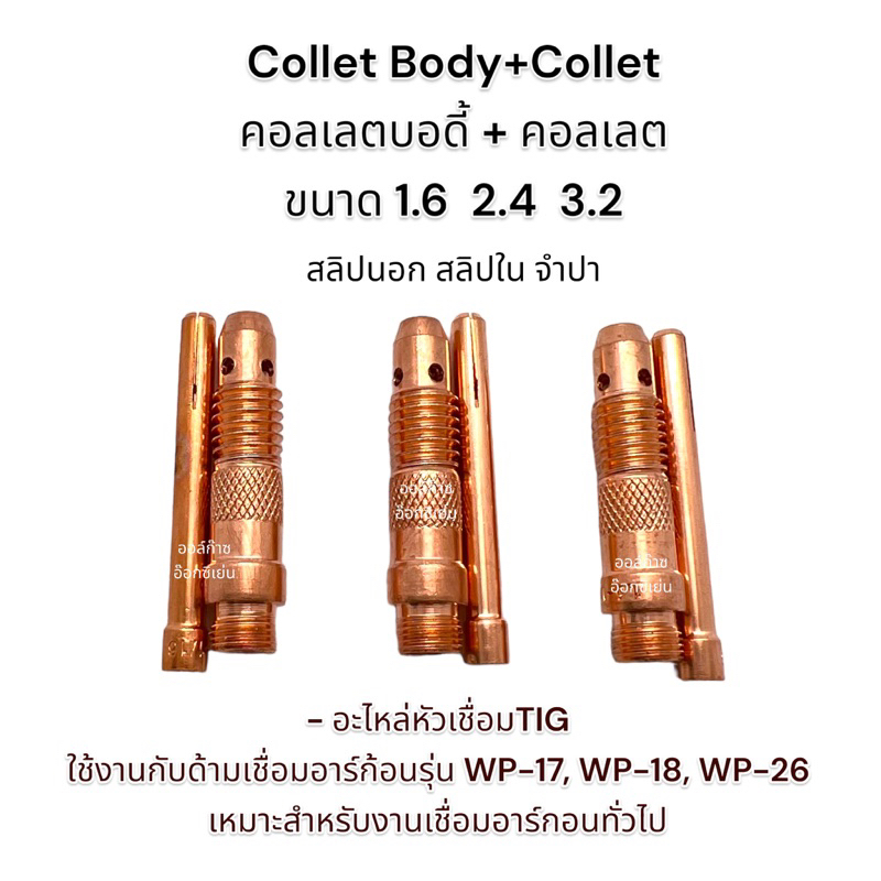 คอลเลท+คอลเลทบอดี้ หัวจับจำปา-จำปา | Shopee Thailand