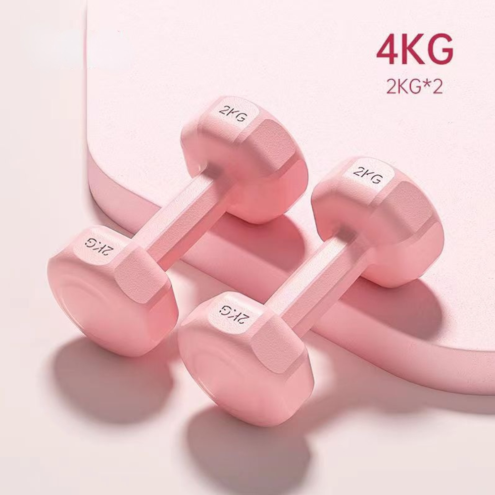 ดัมเบล 2kg-3KG 2ชิ้น สำหรับลดไขมันต้นแขน ออกกำลังกาย ฟิตเนส ดัมเบลสำหรับผู้หญิง ออกกำลังกาย ...